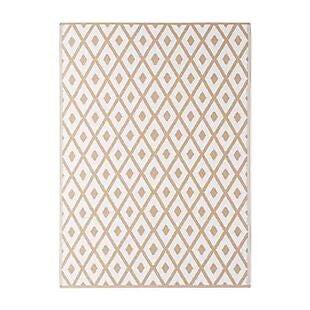 JCPenney 5' x 7' Rugs $19