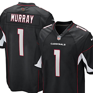 Fanatics: Up to 60% Off NFL Gear