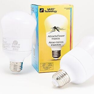 Up to 55% Off Pest Control