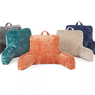 Plush Backrest Pillows $19
